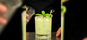 Hendricks Gin Price, Size & Buying Guide (2023 UPDATED)