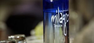 Milagro Tequila Price, Size & Buying Guide (2023 UPDATED)