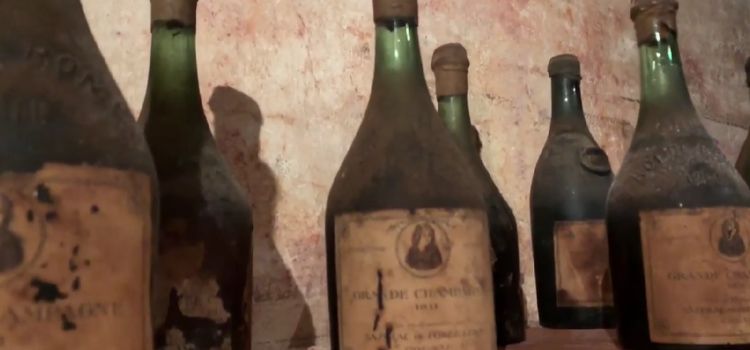 19 World’s Most Expensive Brandy Brands (2023 Updated)