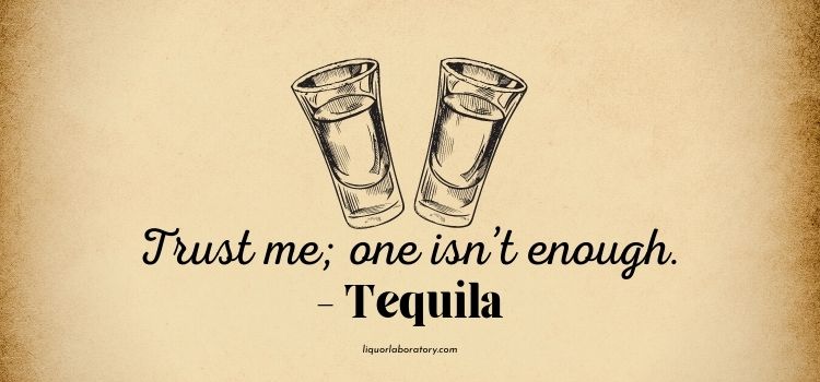 50 Best Tequila Quotes To Live By (2023 Updated)