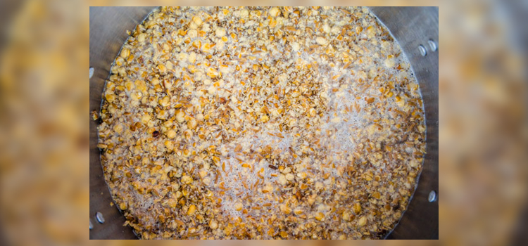 Rabbit Hole Bourbon Bottle Review & Price Guide (2022)