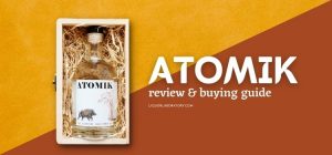 Atomik Vodka Bottle Prices, Sizes & Guide (2023 Updated)
