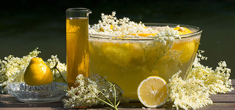 What is A Botanical Drink? Explained! (2022 Updated)