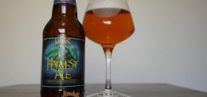 20 Best Types of IPA Beers: Detailed Guide (2023 Updated)
