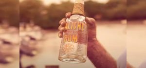 10 Best Rum Brands in Puerto Rico Listed (2023 Updated)