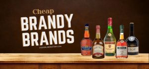 10 Cheap Brandy Brands To Drink In 2023 (Updated)