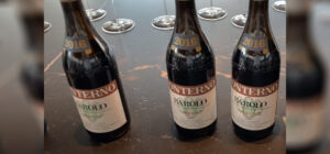 15 Best Dry Red Wine Brands You Should Try (2023 Updated)